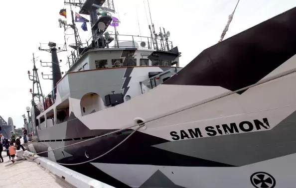 Sam Simon netto waarde 11411_1