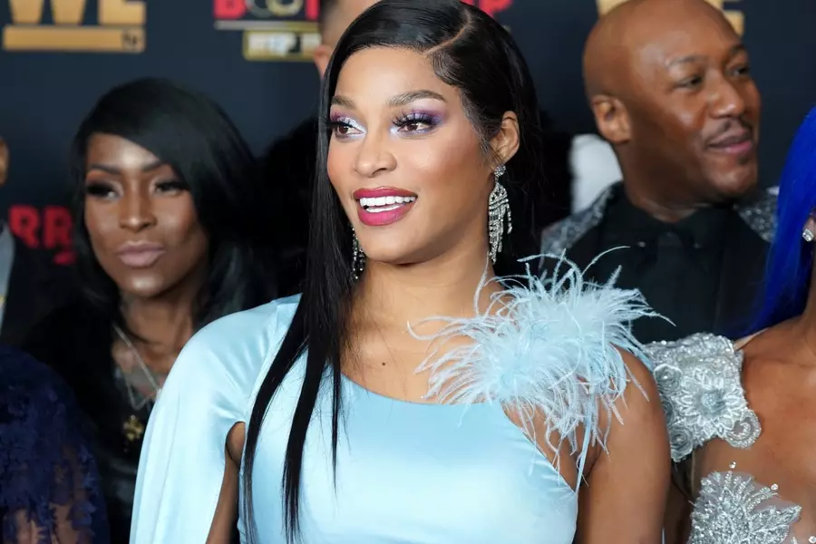 Joseline Hernandez Net Worth 11424_1