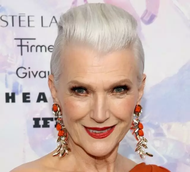 Καθαρή αξία Maye Musk