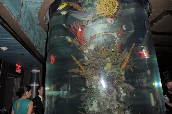 Verdens dyreste akvarium