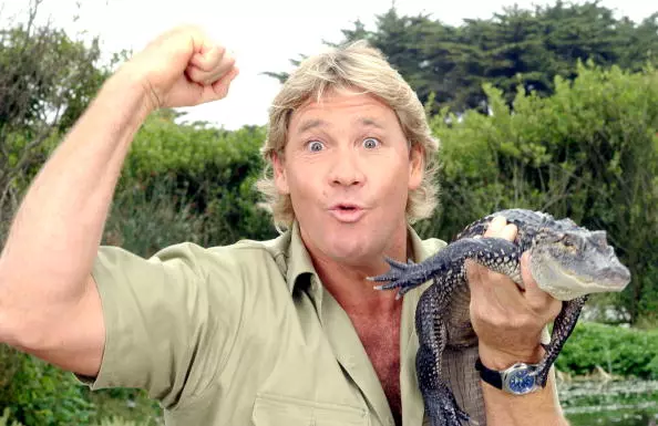 Nettóvirði Steve Irwin