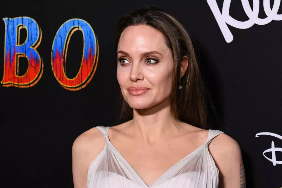 Har Angelina Jolie en milliardærkjæreste hun er i ferd med å gifte seg med? 24384_1