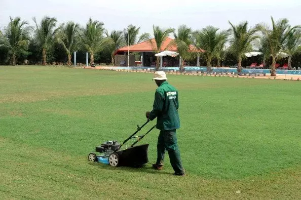 Berapa penghasilan seorang penata taman?