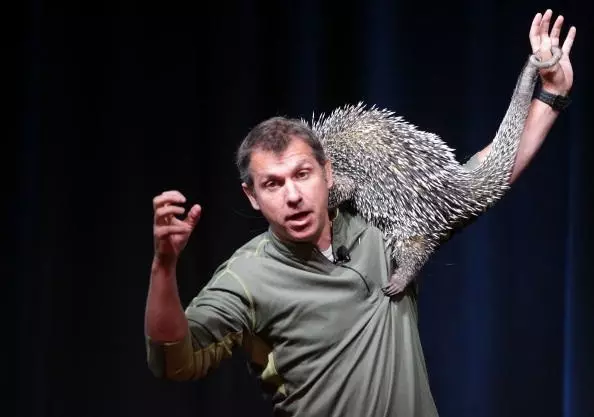 Chris Kratt Net Worth