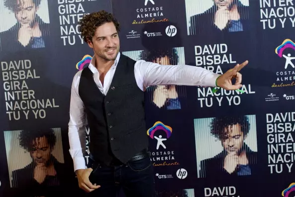 David Bisbal Net Worth