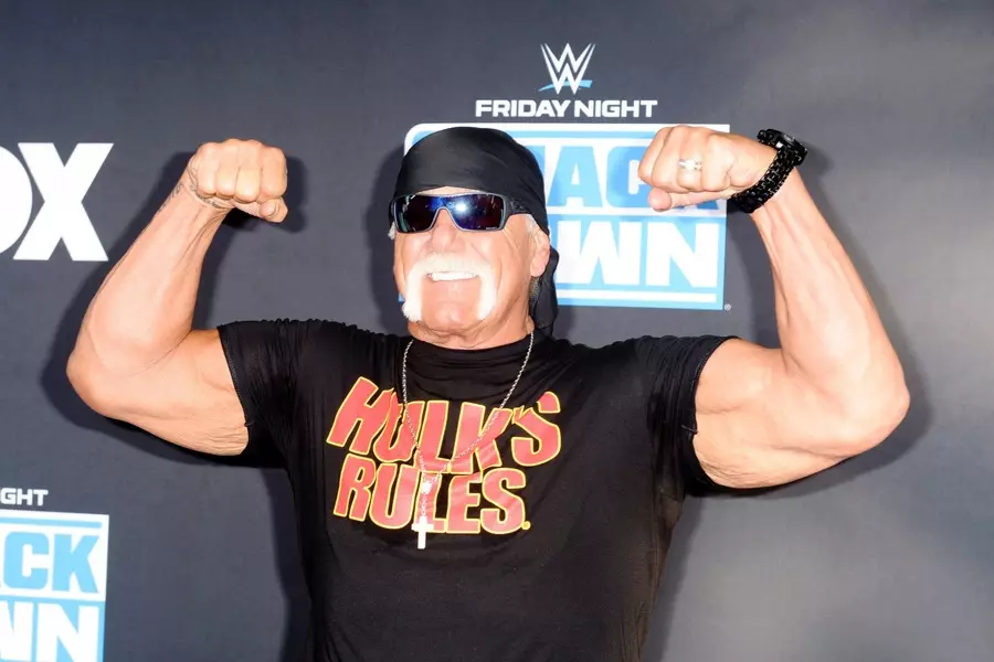 Hulk Hogan Neto vrijednost 535_1
