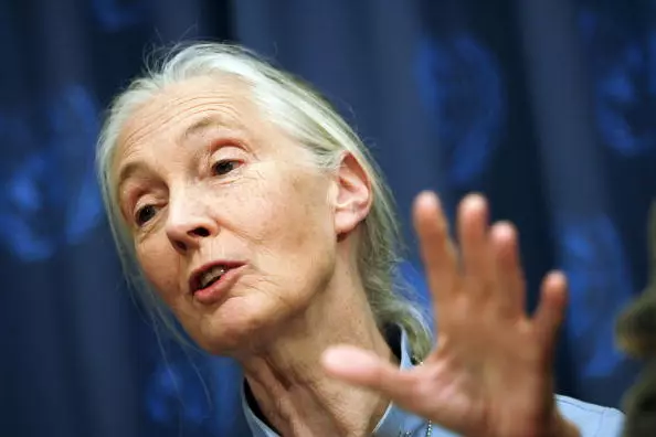 Jane Goodalls nettovärde