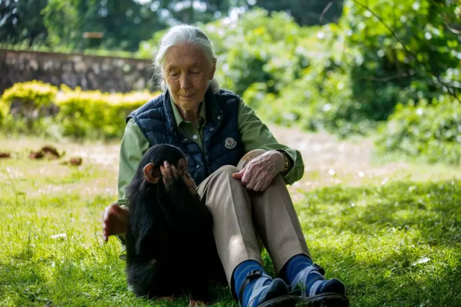 Jane Goodall Net Değer